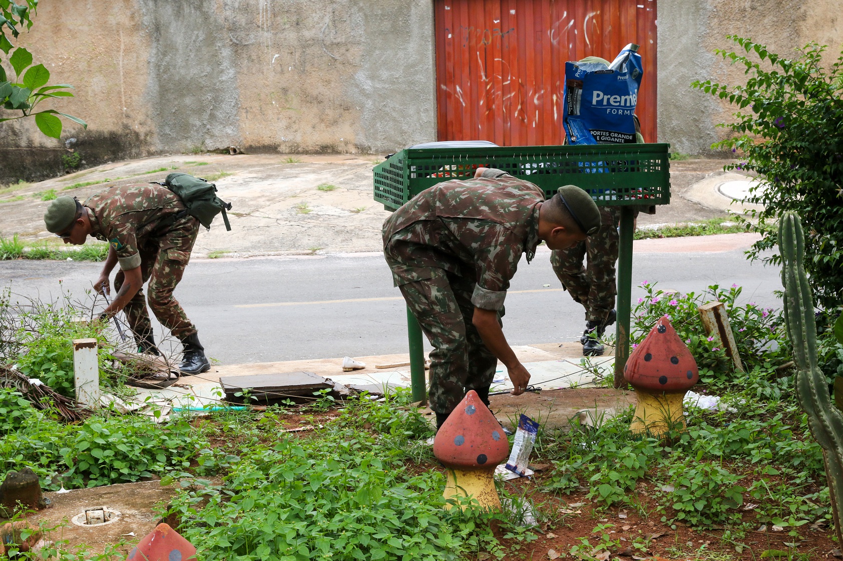 Brazil’s dengue health emergency fueled by rising temperatures - Brazil ...